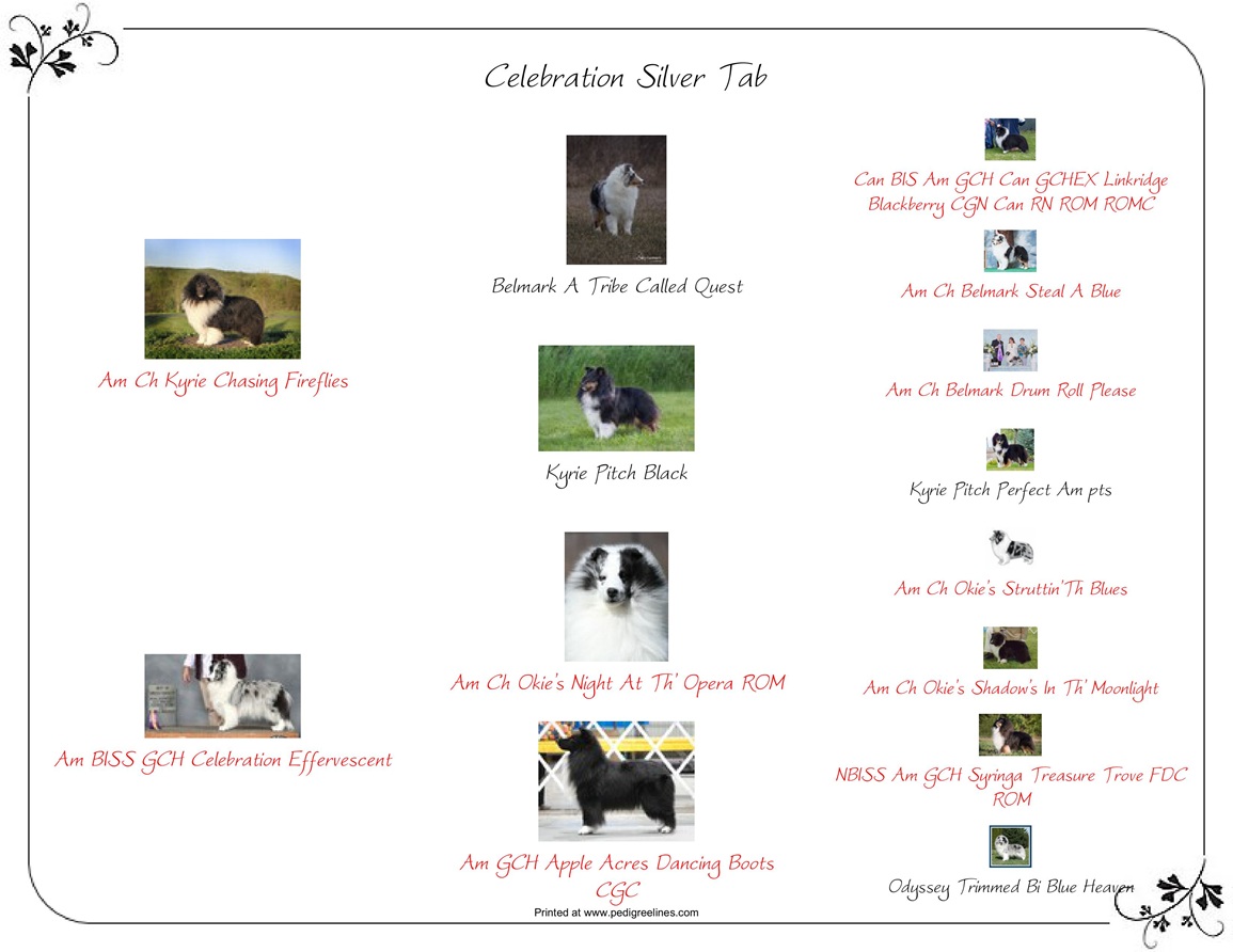 Cermel Shelties