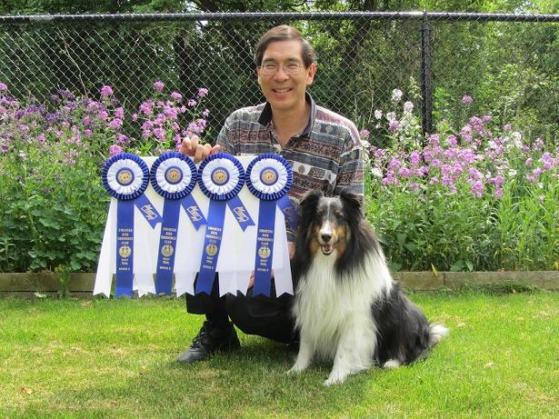 Cermel Shelties