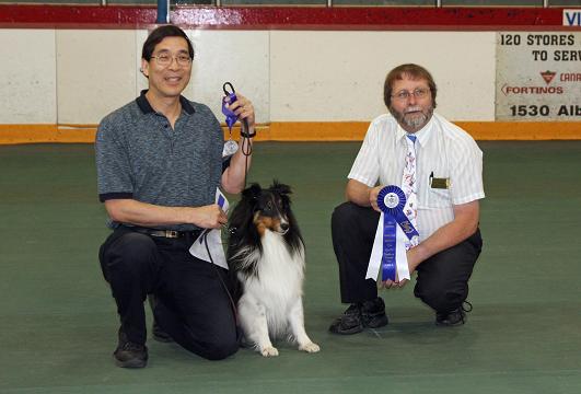 Cermel Shelties