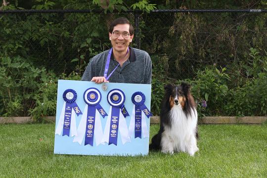 Cermel Shelties